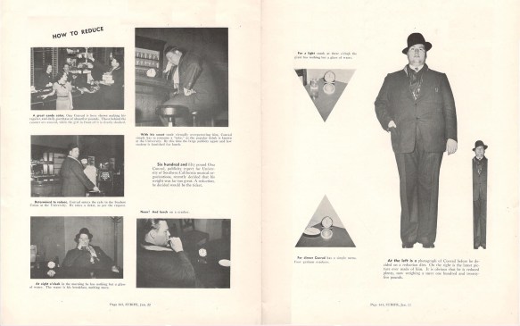 MagazineParody.com | Celebrating 225 Years of Newspaper and Magazine ...